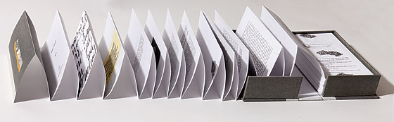 Lost in translation – Anne Carson NOX